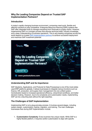 Why Do Leading Companies Depend on Trusted SAP Implementation Partners ...