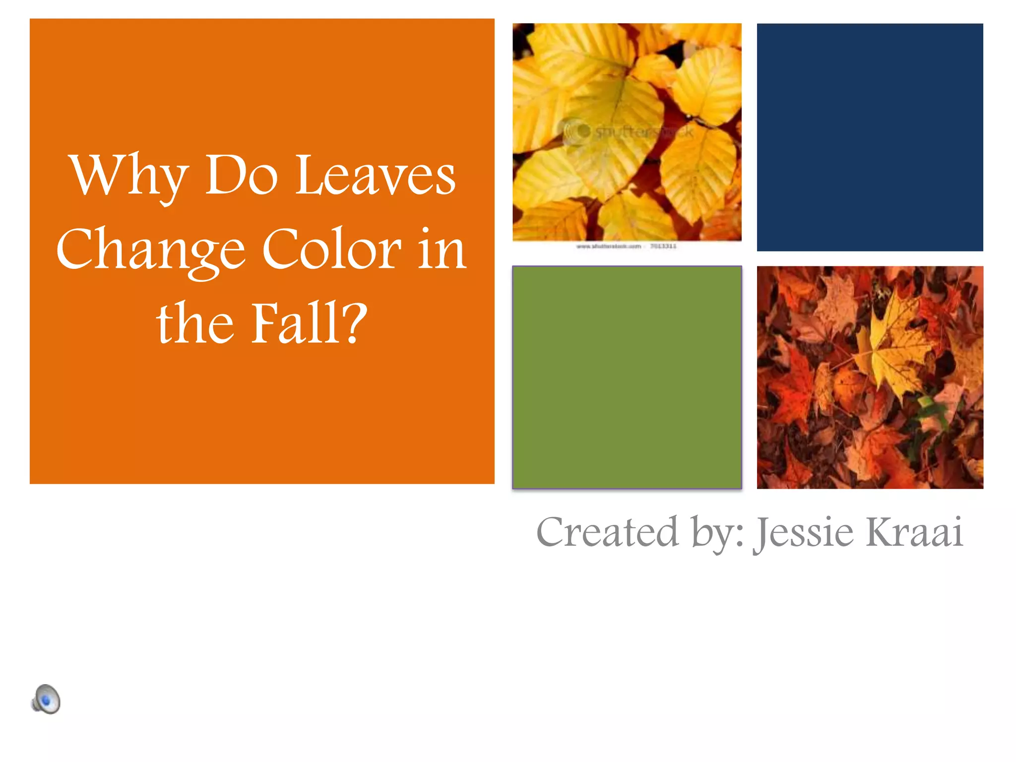 Why do leaves change colors in the fall? (with voice recording) | PPT