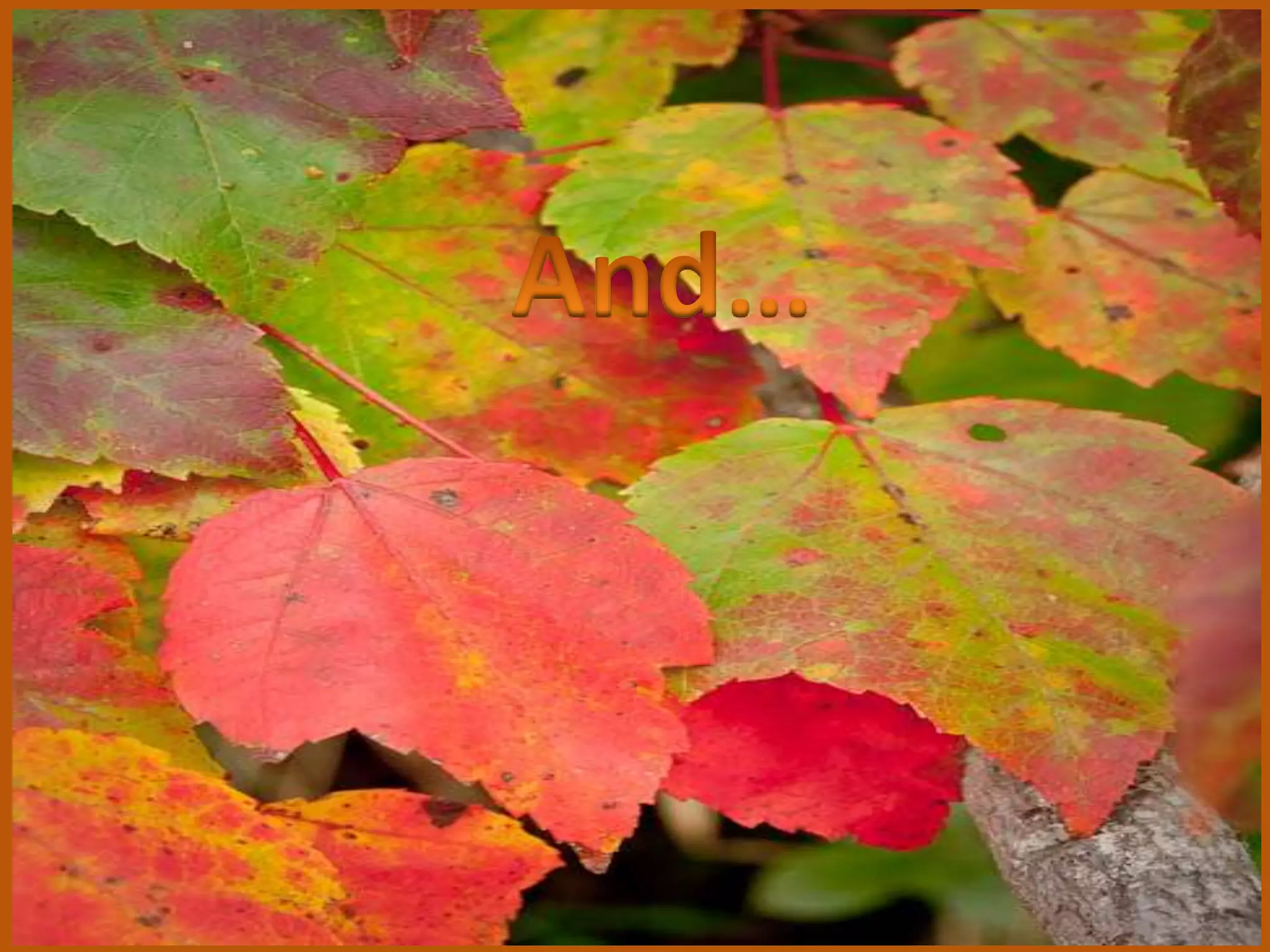 Why do leaves change colors in the fall? (with voice recording) | PPT