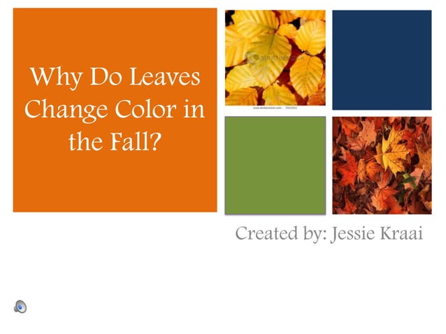 Why do leaves change colors in the fall? (with voice recording) | PPT