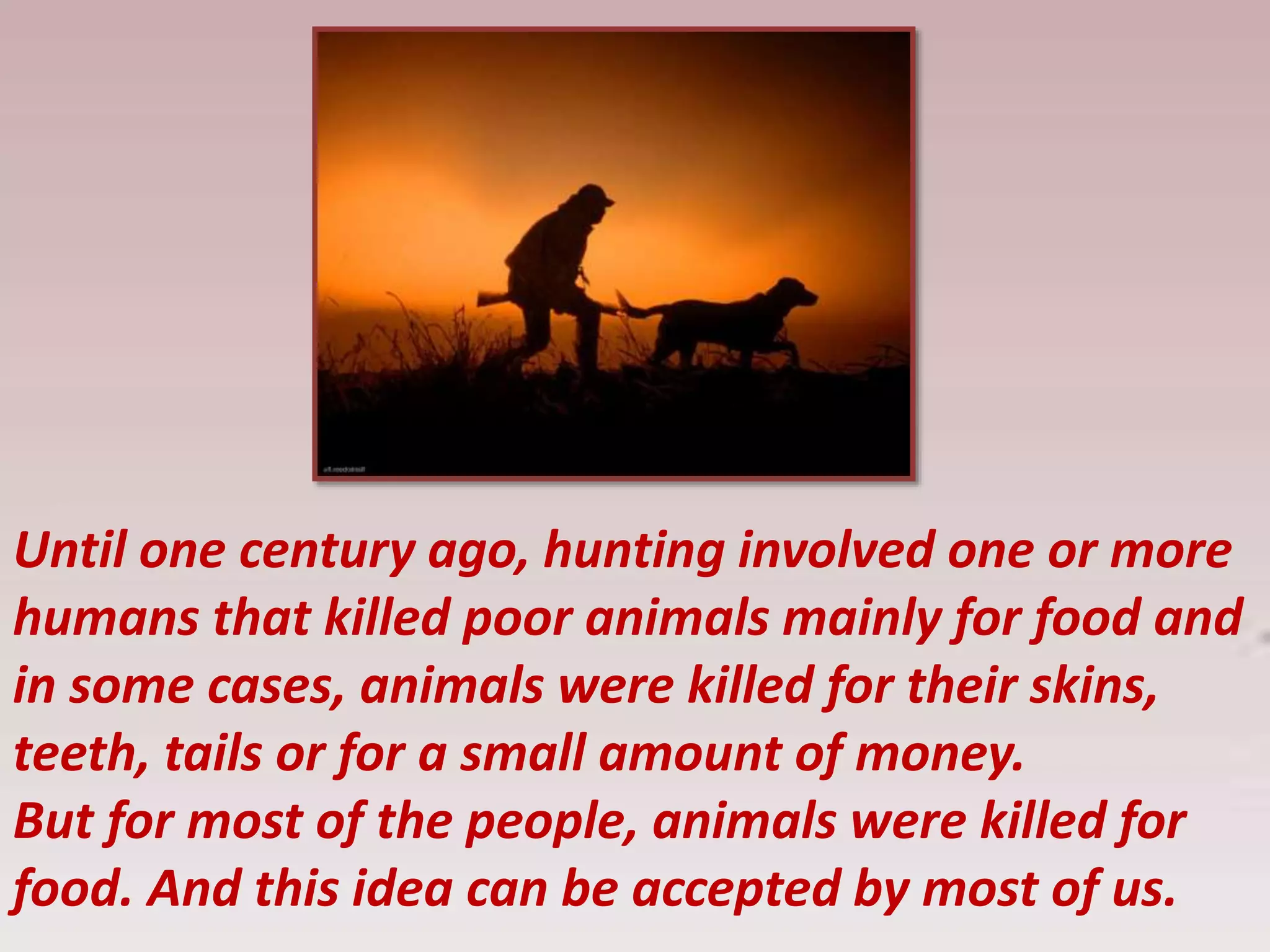 Why do people hunt for animals? | PPTX