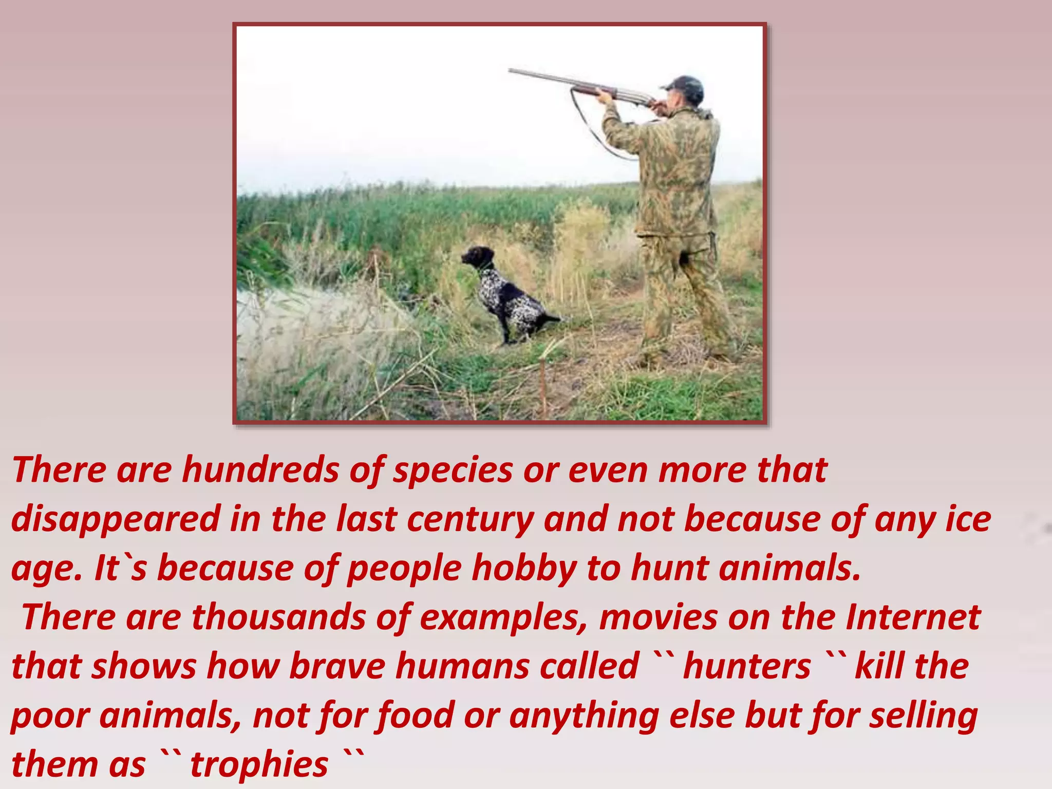 Why do people hunt for animals? | PPTX