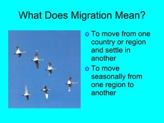 Why Do People Move | PPT