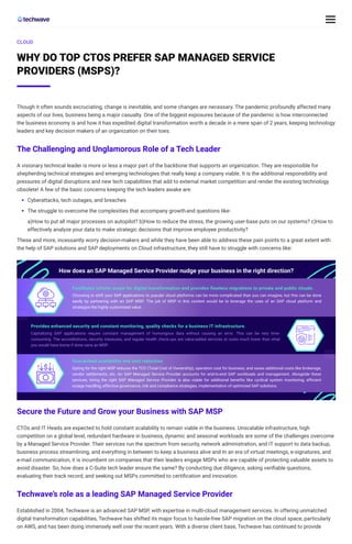 Why do top CTOs prefer SAP Managed Services Providers (MSPs).pdf