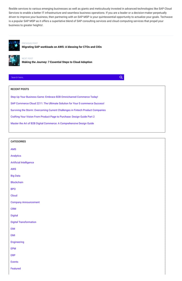 Why do top CTOs prefer SAP Managed Services Providers (MSPs).pdf