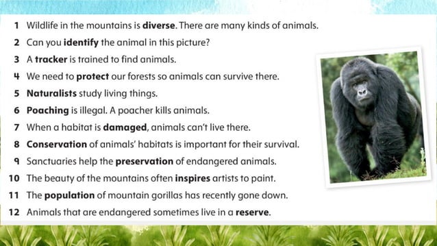 Why do we protect animals? they are important.pptx | Biological ...