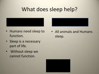 Why do we sleep | PPTX