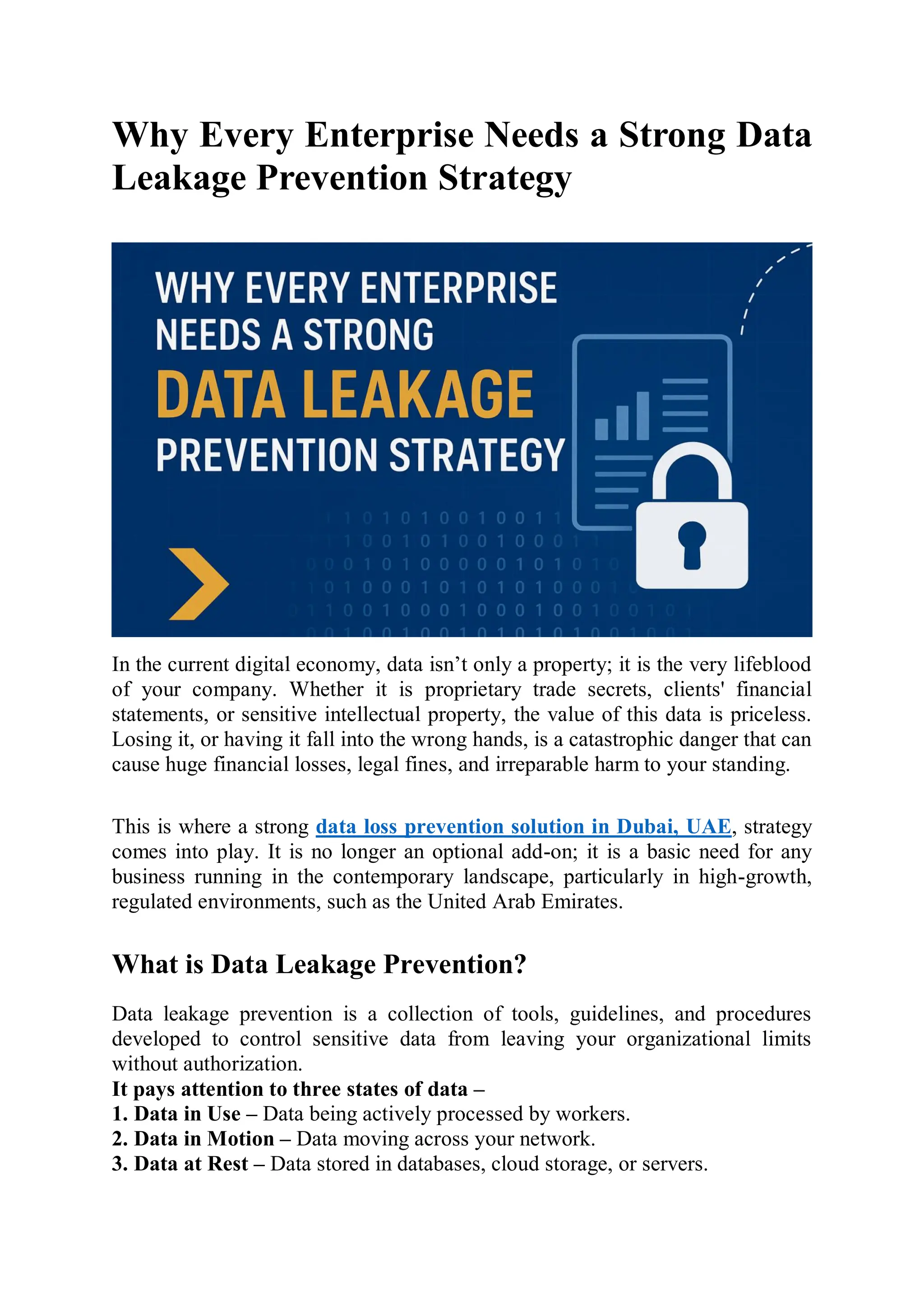 Why Every Enterprise Needs a Strong Data Leakage Prevention Strategy.pdf
