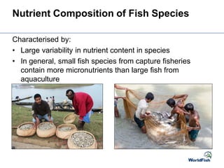 Why fish? The unique opportunity to contribute to nutrition | PPT