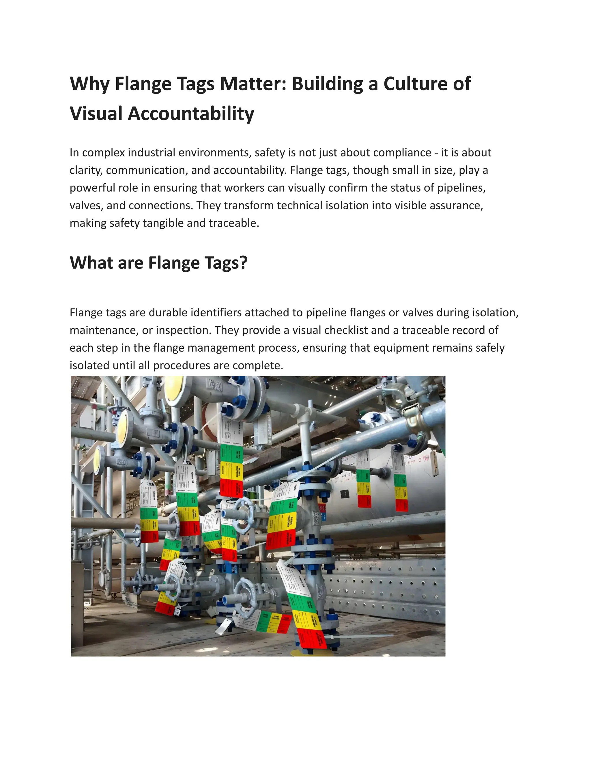 Why Flange Tags Matter_ Building a Culture of Visual Accountability. | PDF