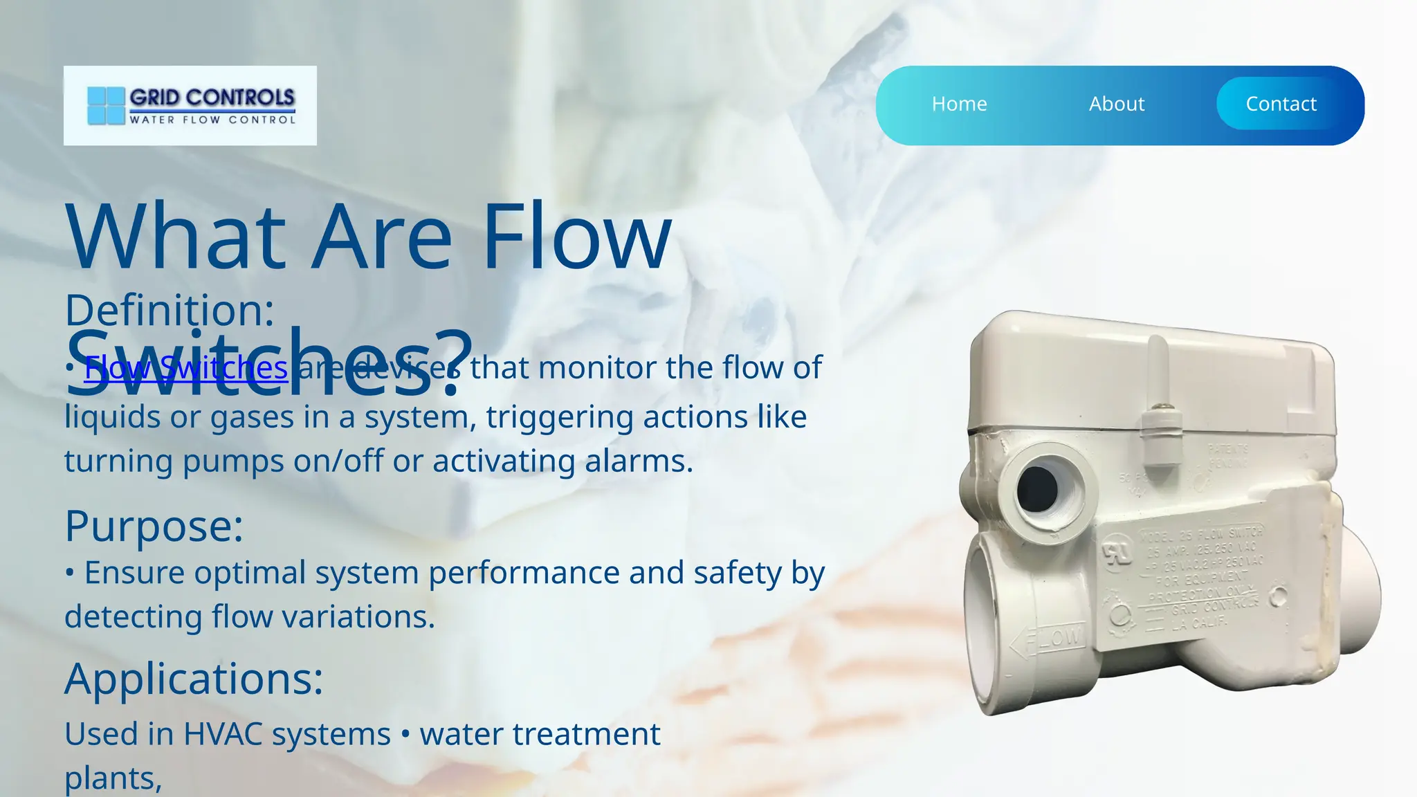 Why Flow Switches Are Key to Efficient Water Management.pptx
