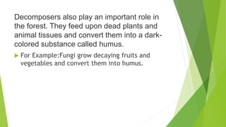 Why Forest is called a dynamic living entity.pptx