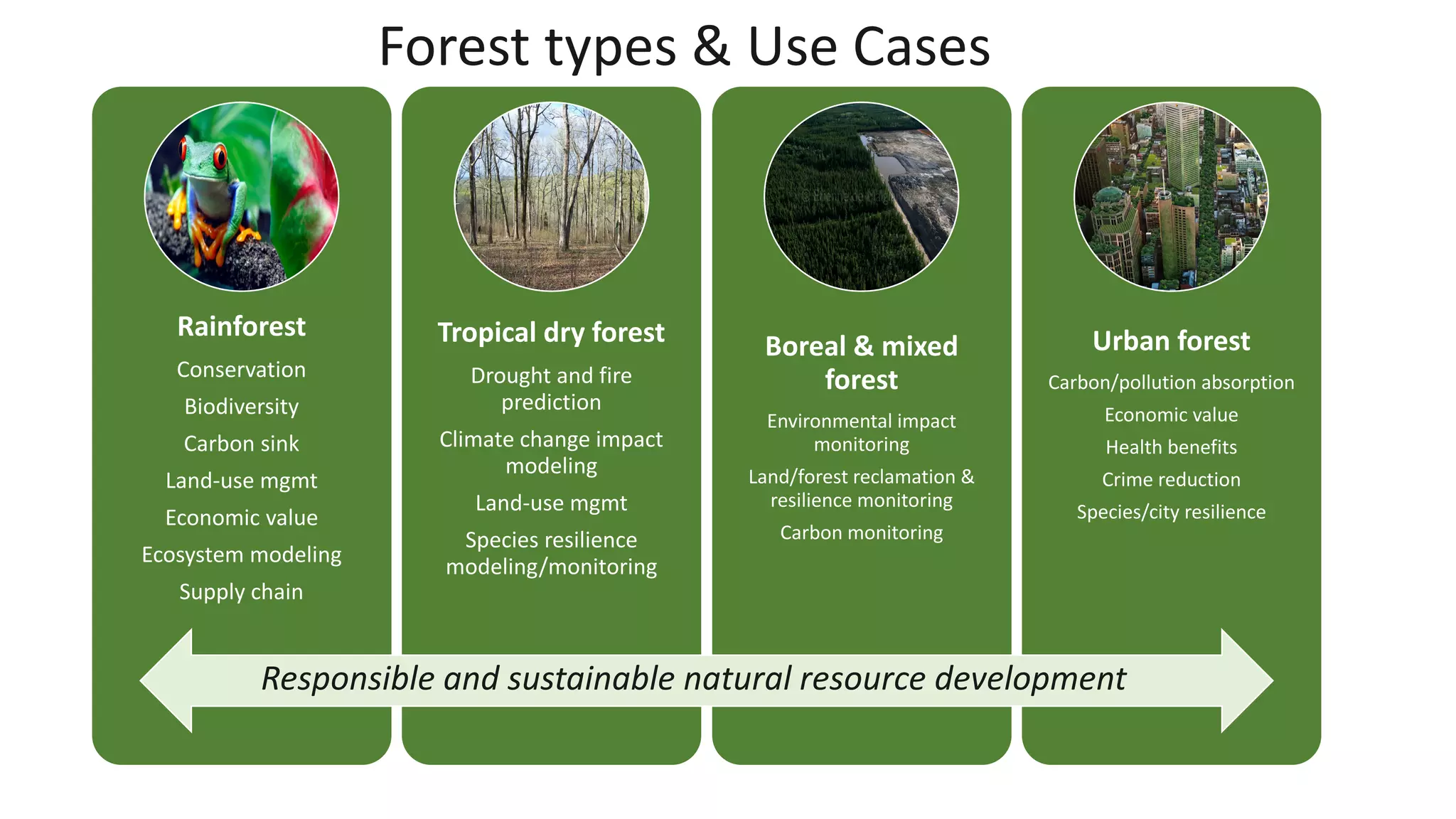Why Forests Are Key to Solving Global Challenges Like Climate Change | PPT
