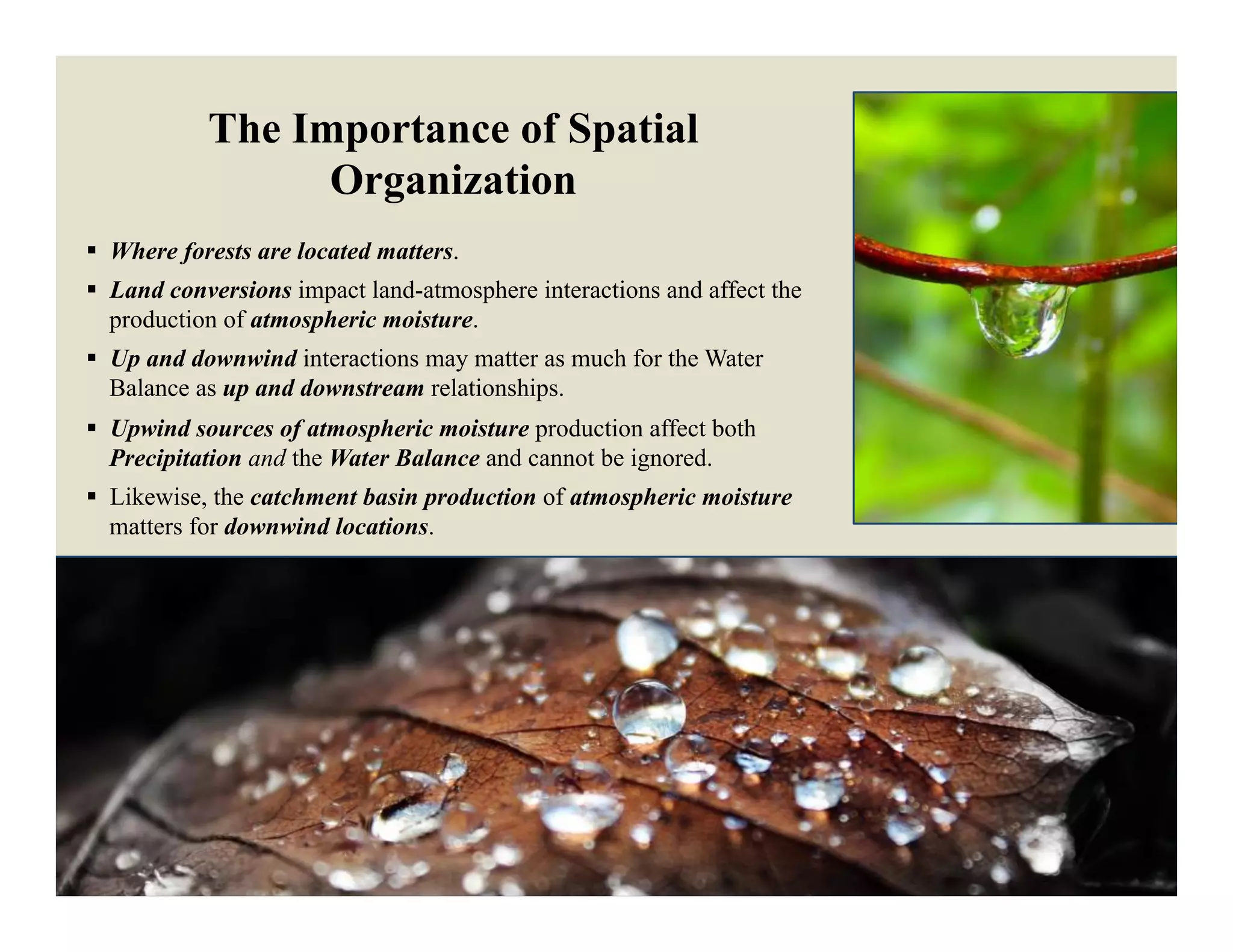 Why forests matter for water, energy and climate: what we think we know ...