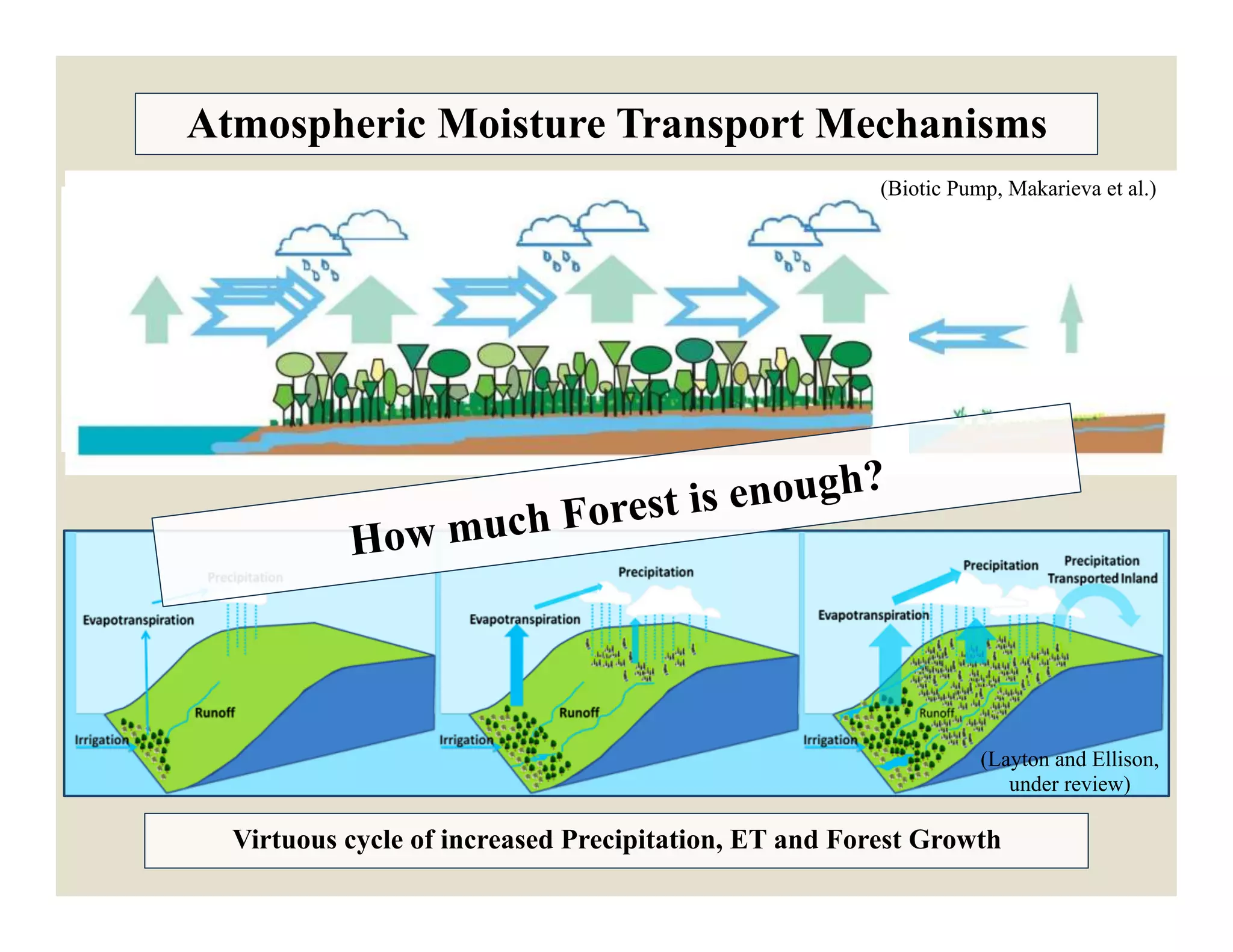 Why forests matter for water, energy and climate: what we think we know ...