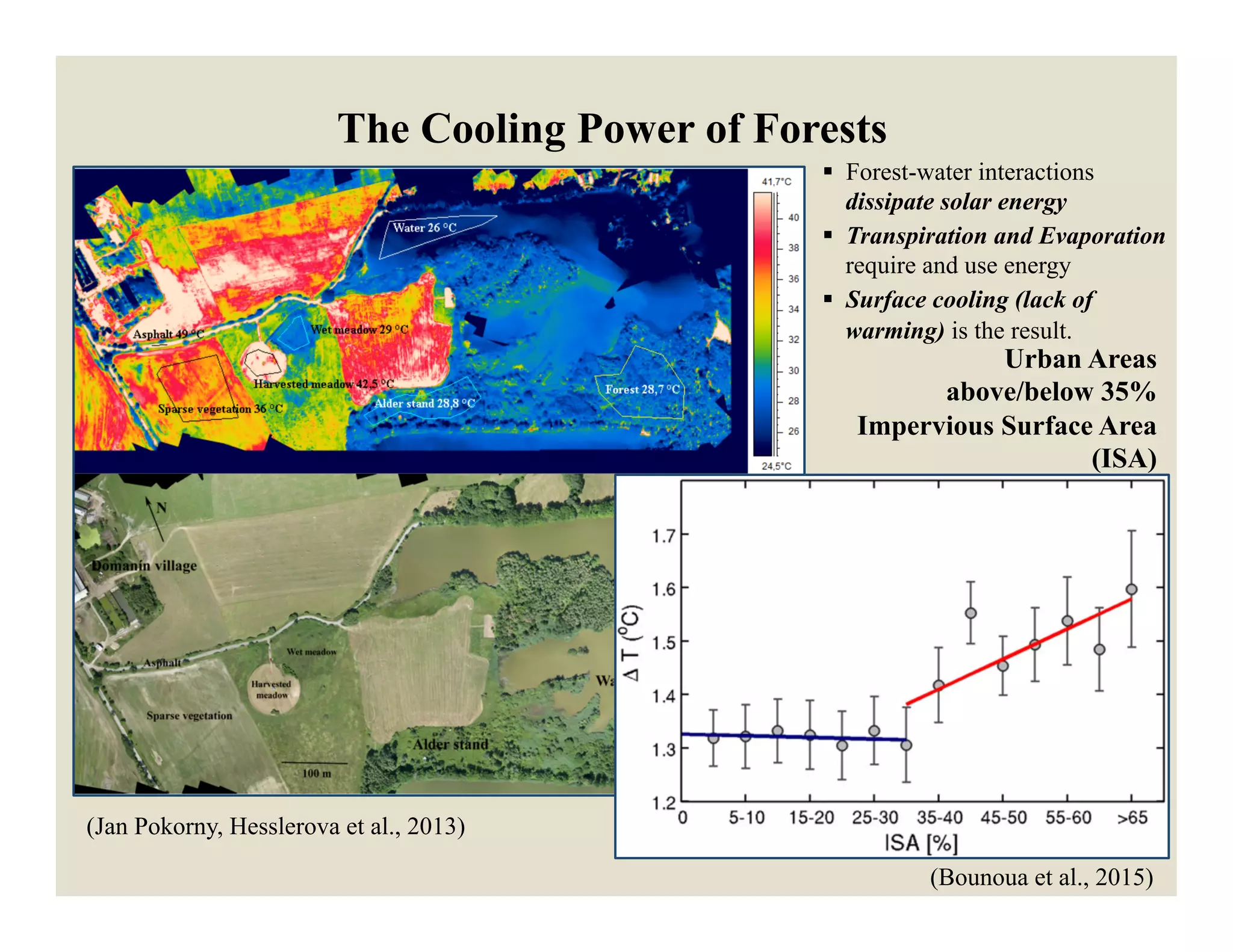 Why forests matter for water, energy and climate: what we think we know ...