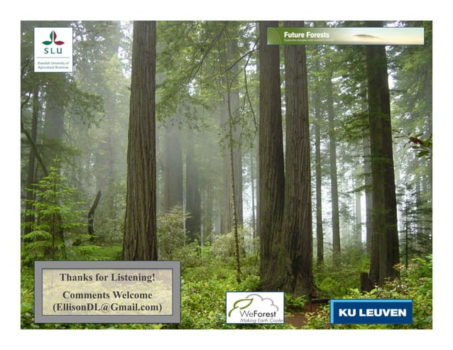 Why forests matter for water, energy and climate: what we think we know ...