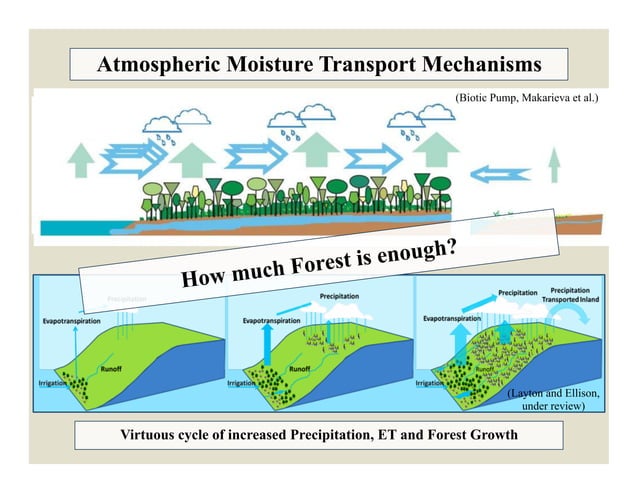 Why forests matter for water, energy and climate: what we think we know ...