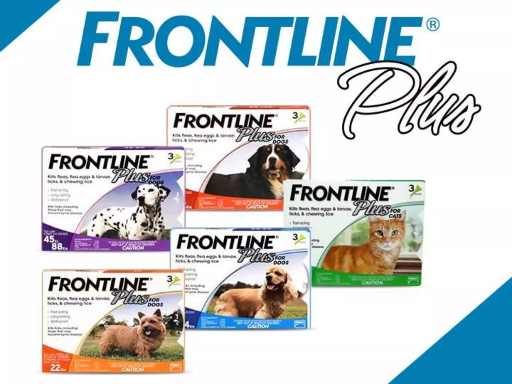Why frontline plus? | PPTX