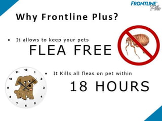 Why frontline plus? | PPTX