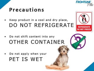 Why frontline plus? | PPTX