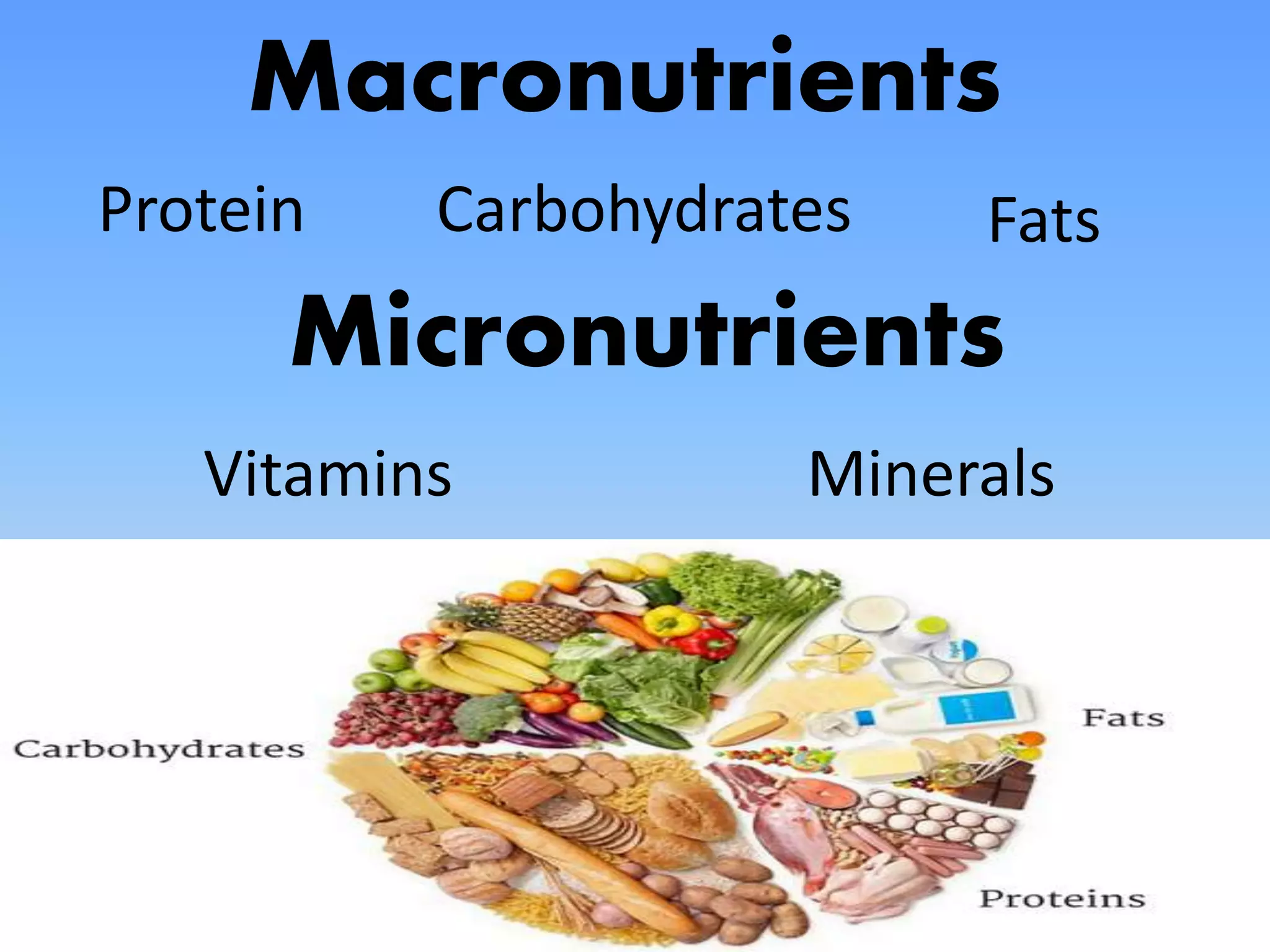 WHY GOOD NUTRITION IS SO IMPORTANT? | PPT