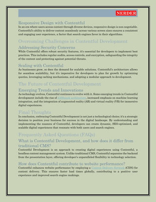 Why Hire Top Contentful Developers.pdf