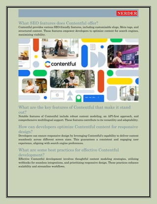Why Hire Top Contentful Developers.pdf