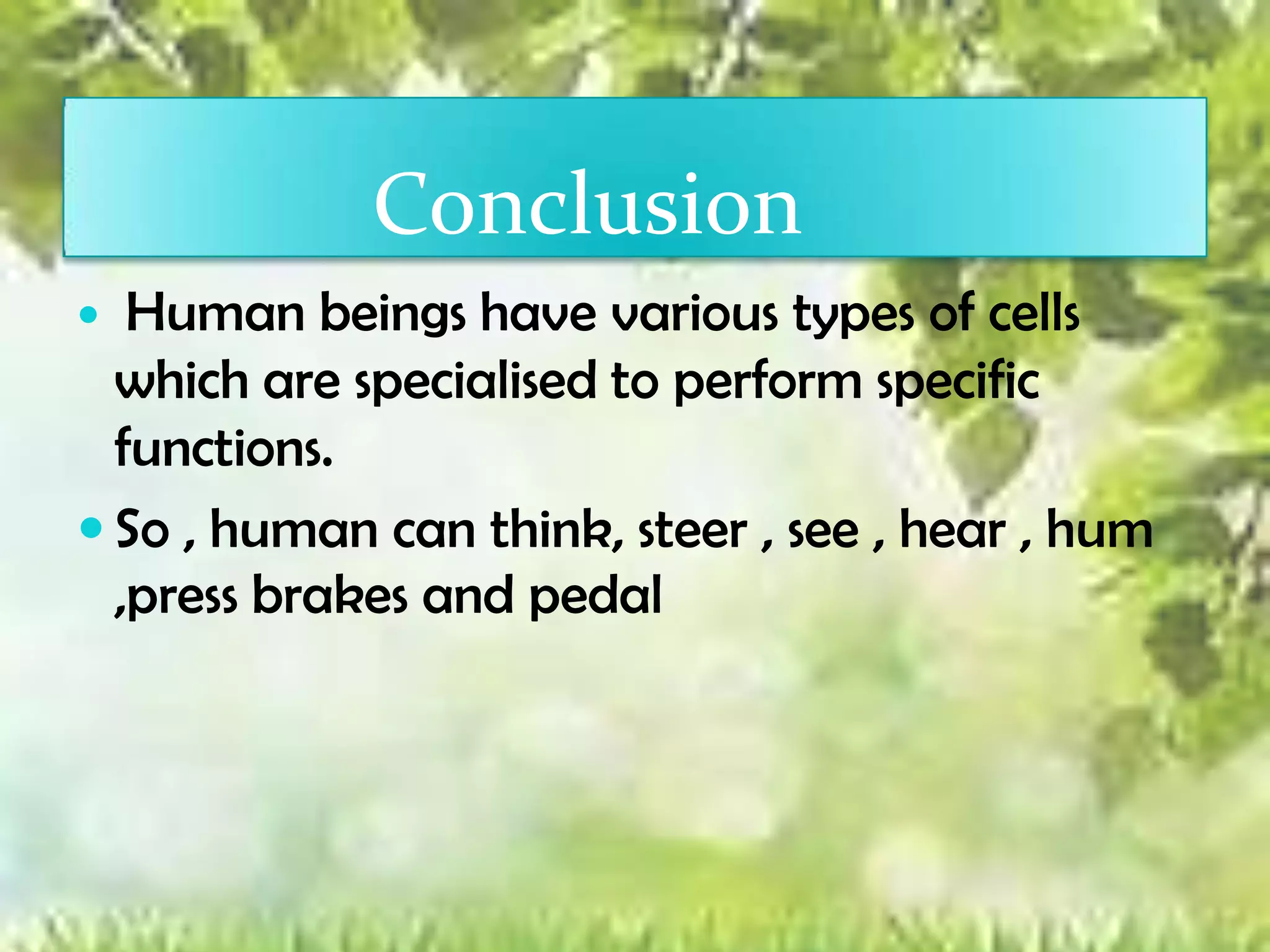 Why humans are complex organisms(1F) | PPTX