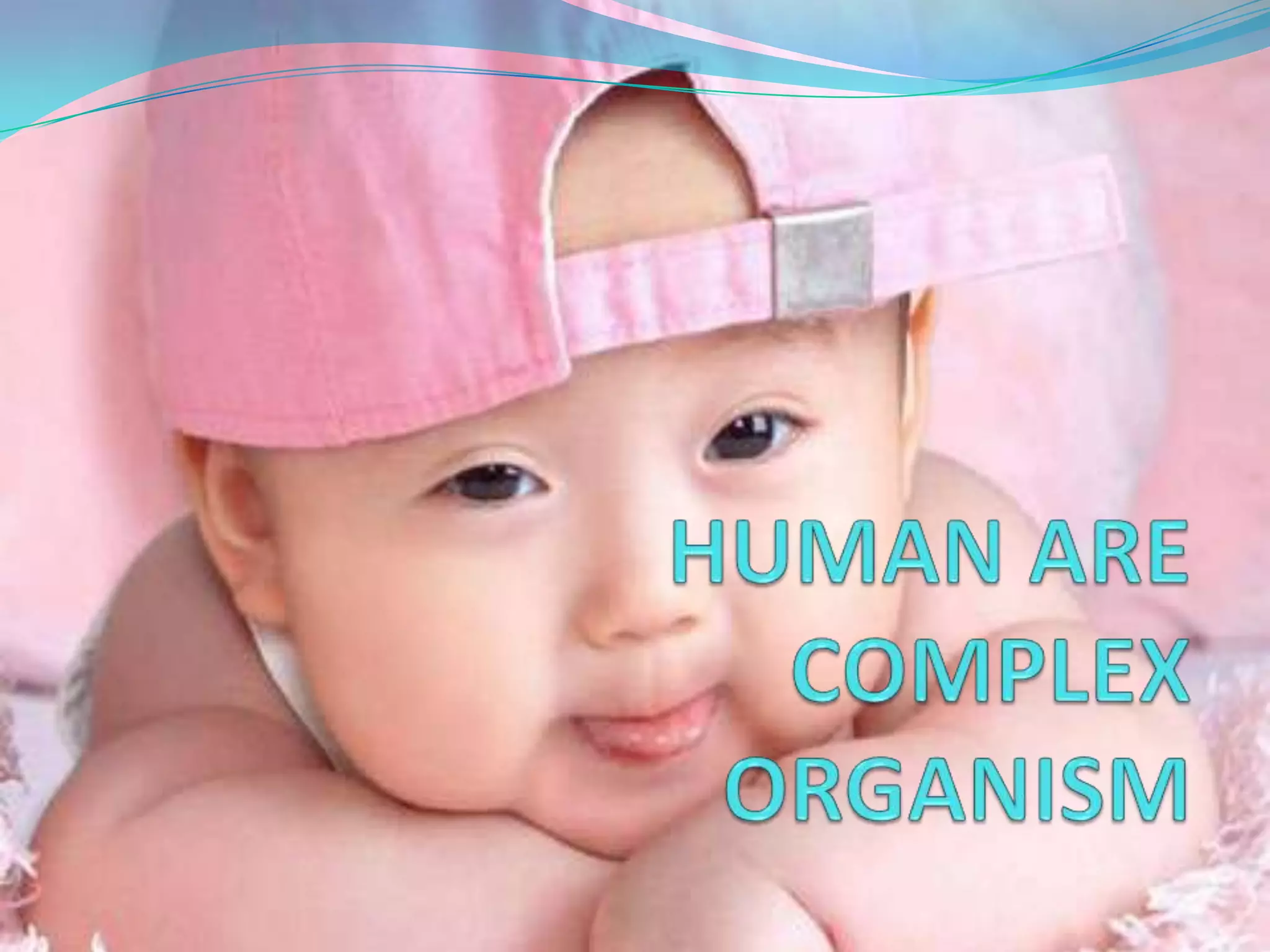 Why human are complex organism | PPTX