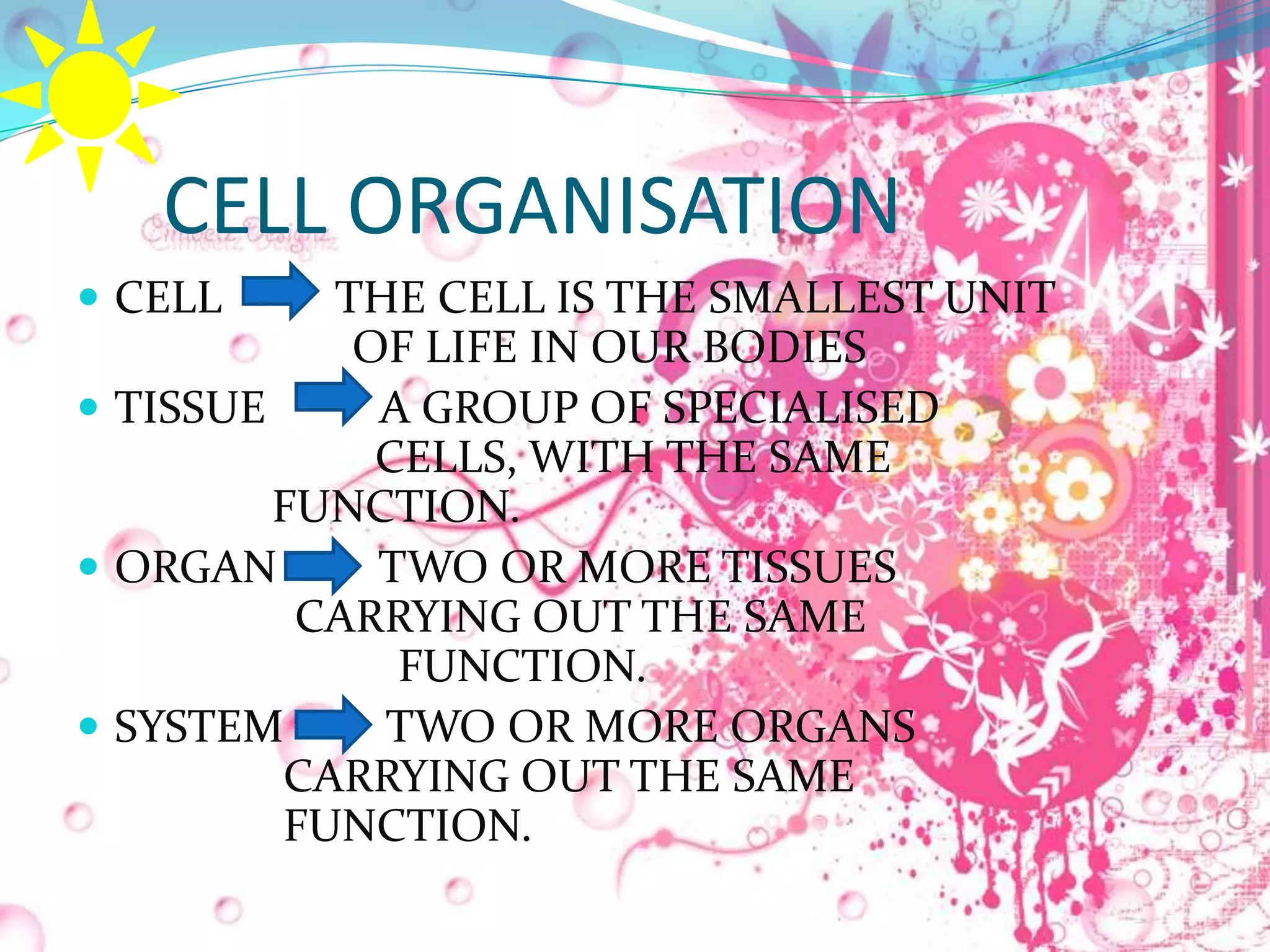 Why human are complex organism | PPTX