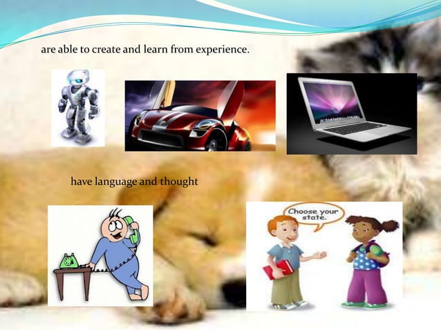 Why human are complex organism | PPTX