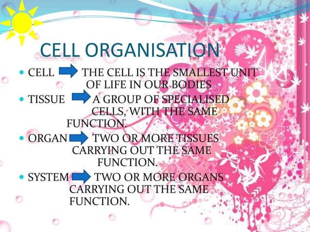 Why human are complex organism | PPTX