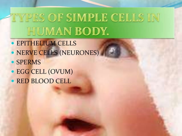 Why human are complex organism | PPTX