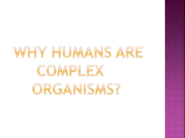 Why humans are complex organsims? | PPTX | Biological Sciences | Science