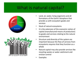 Why invest in natural capital | PPTX