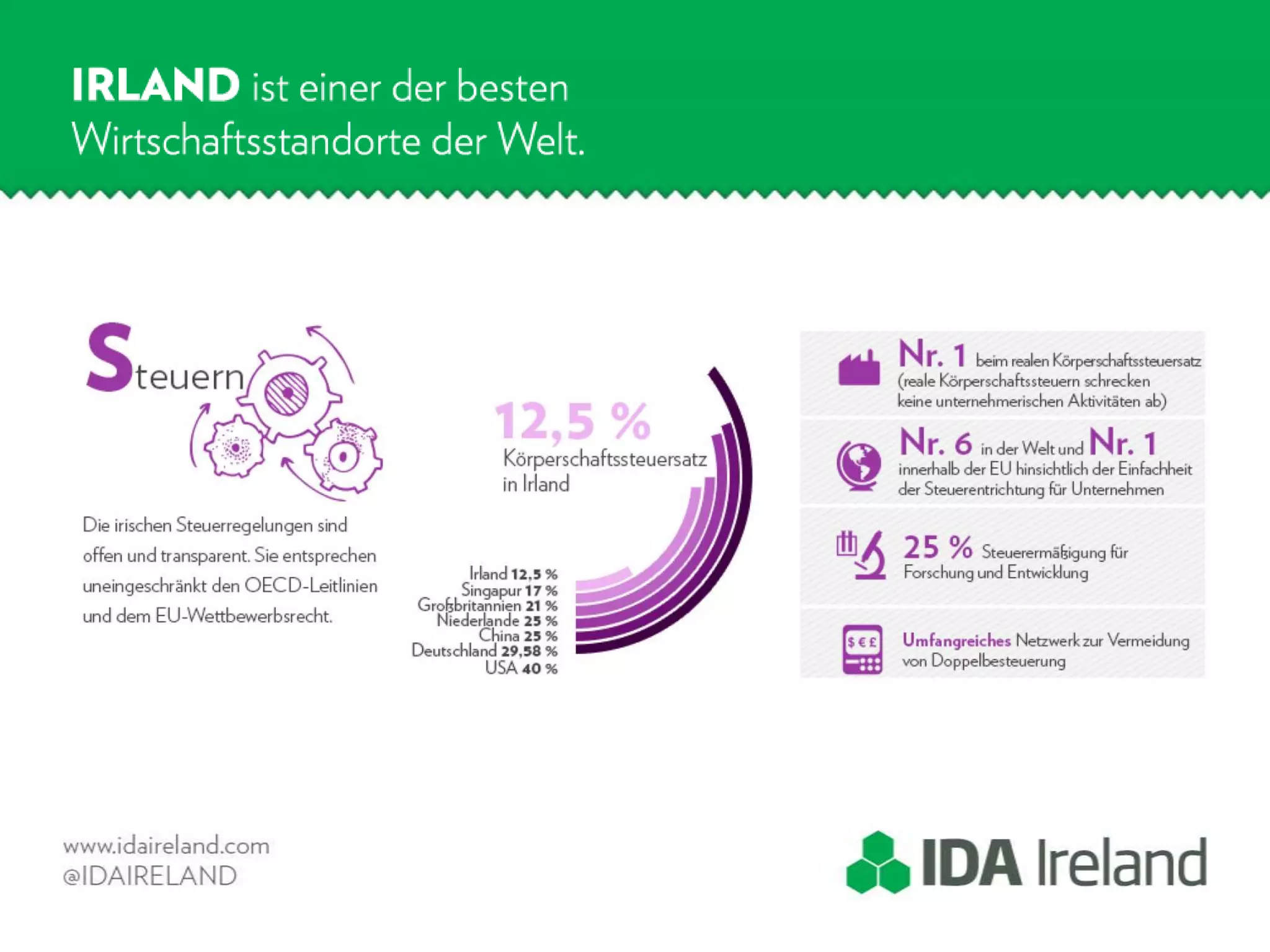 Why Ireland Presentation - German Version | PPTX