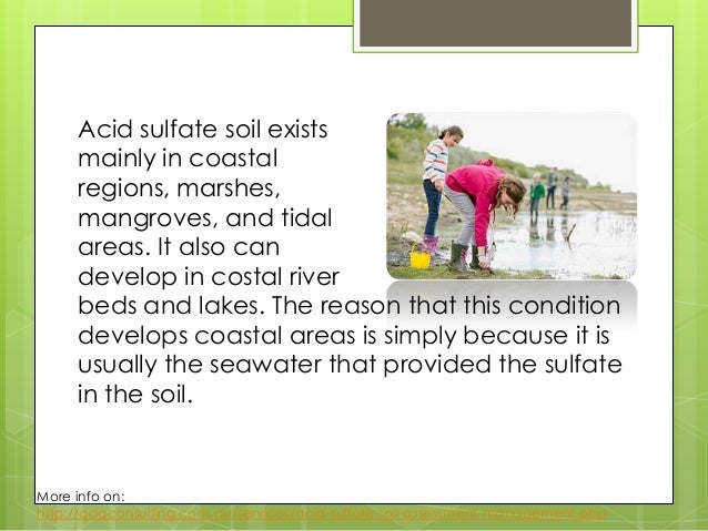 Why Is An Acid Sulfate Soil Assessment Necessary?