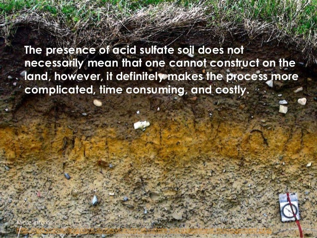 Why Is An Acid Sulfate Soil Assessment Necessary?