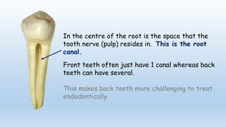 Why is a rct needed? | PDF