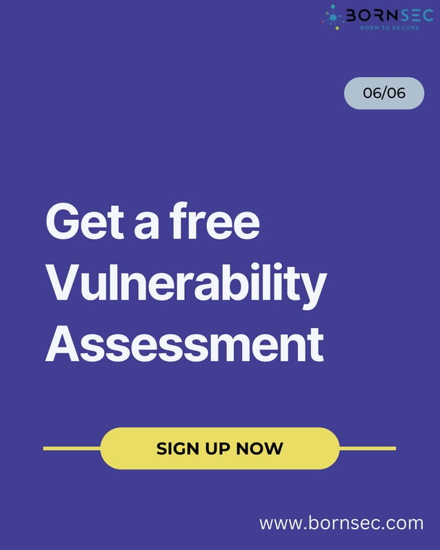 Why is it important for IT to identify Vulnerabilities.pdf