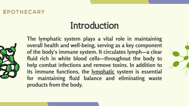 Why is Lymph Health So Important | Ipothecary | PPT