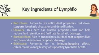 Why is Lymph Health So Important | Ipothecary | PPT