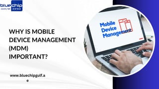 Why Is Mobile Device Management (MDM) Important.pptx