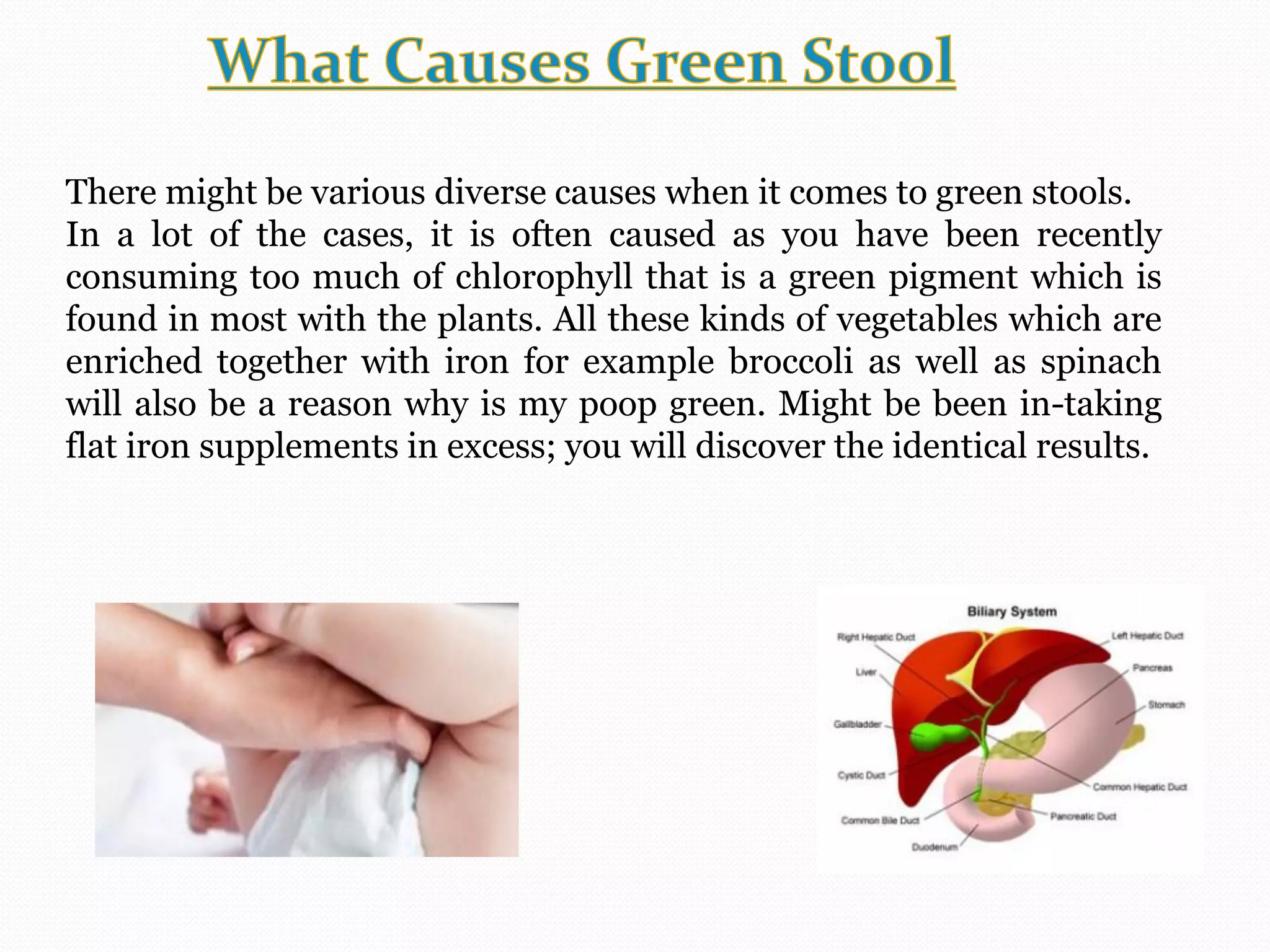 Why Is My Stool Green | PDF
