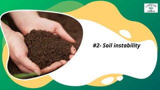 Why Is Retaining Wall Key to Safe Landscaping on Sloped Land | PPTX