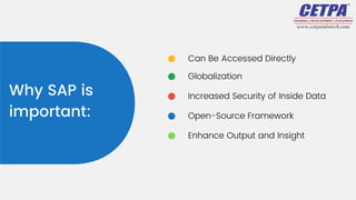 Why Is SAP So Important | PDF