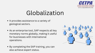 Why Is SAP So Important | PDF
