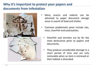 Why it’s important to protect your papers and documents from ...