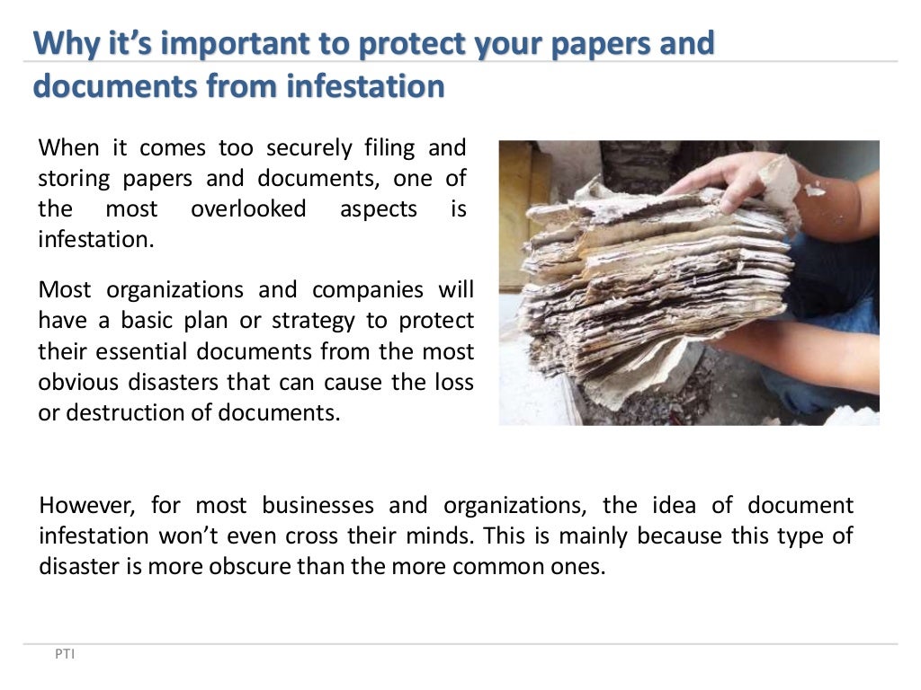 Why it’s important to protect your papers and documents from infestat…